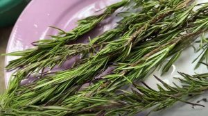 Cónoce los beneficios del romero para hacer crecer el cabello - Salud y Remedios